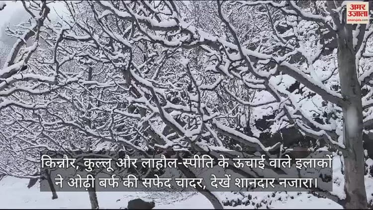 Video : High Altitude Areas Of Kinnaur, Kullu And Lahaul-spiti Covered With White Blanket Of ...