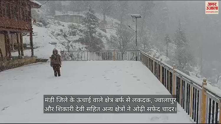 Video : High Altitude Areas Of Mandi District Covered With Snow ...
