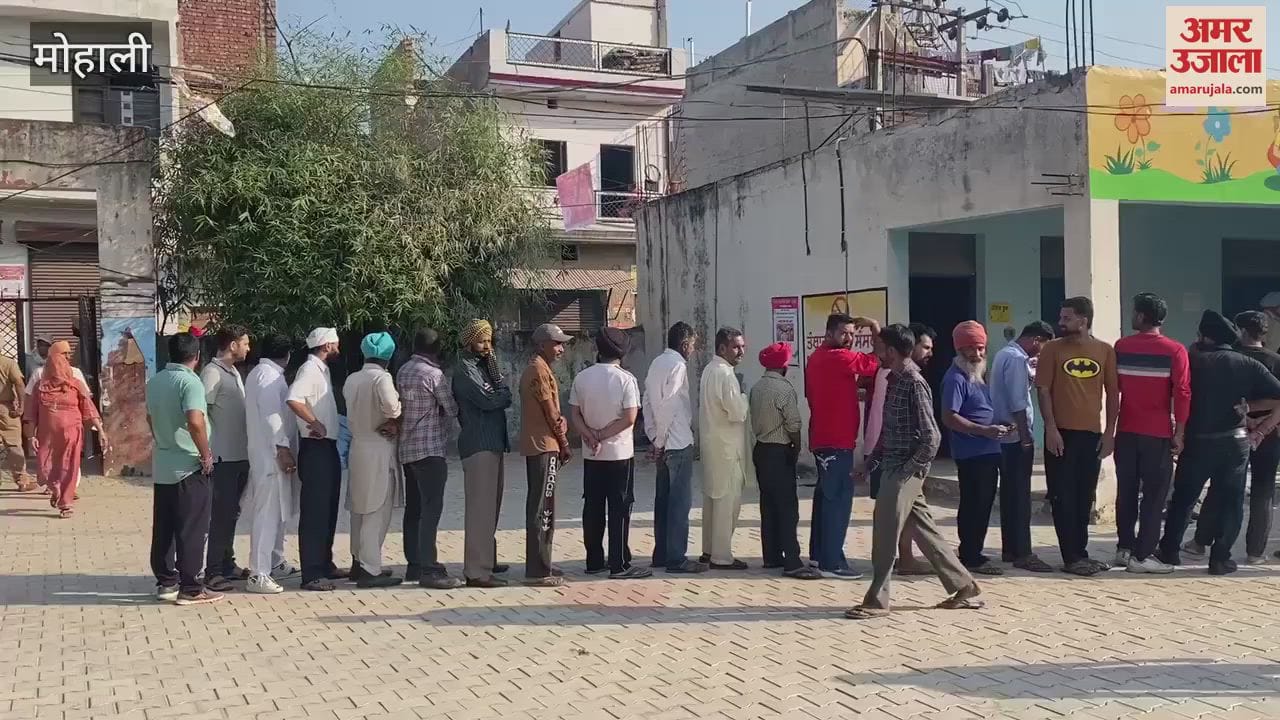 Video :पंचायत चुनाव के लिए मोहाली के गांव जुझार नगर में लगी लंबी लाइनें ...