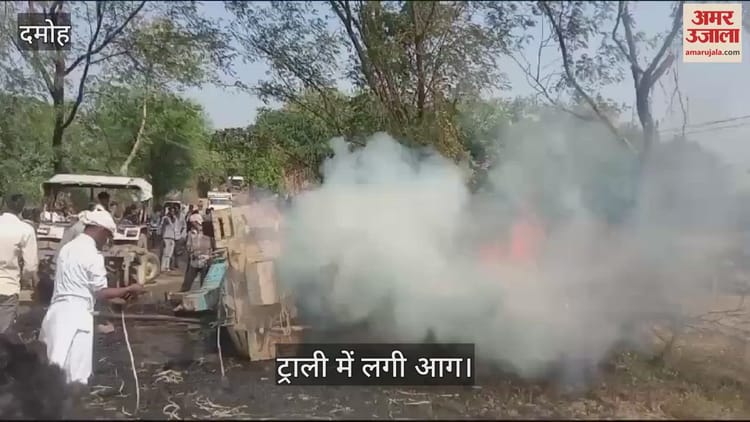 Damoh A Tractor Trolley Filled With Fodder Caught Fire As Soon As It Touched The Power Line ...