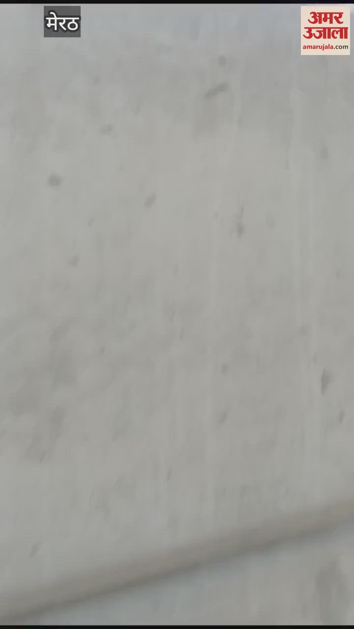 Video :meerut: अजगर को तलाशने के लिए चलाया अभियान - Video : Meerut: Campaign Launched To Find ...