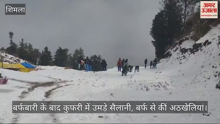Video :बर्फबारी के बाद कुफरी में उमड़े सैलानी, बर्फ से कीं अठखेलियां ...