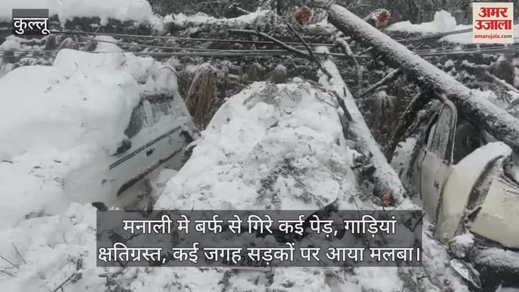 Video : Many Trees Fell Due To Snow In Manali, Vehicles Got Damaged ...
