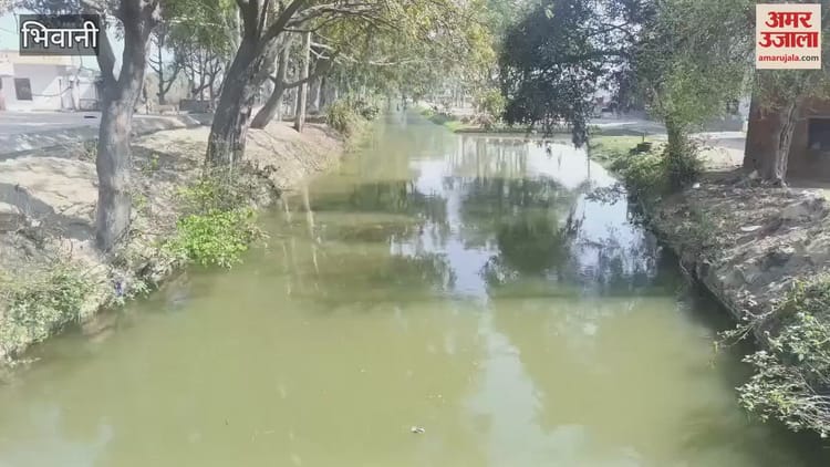 Video : Canal Water Reached Jui And Mitathal Feeder Of Bhiwani, Supply ...