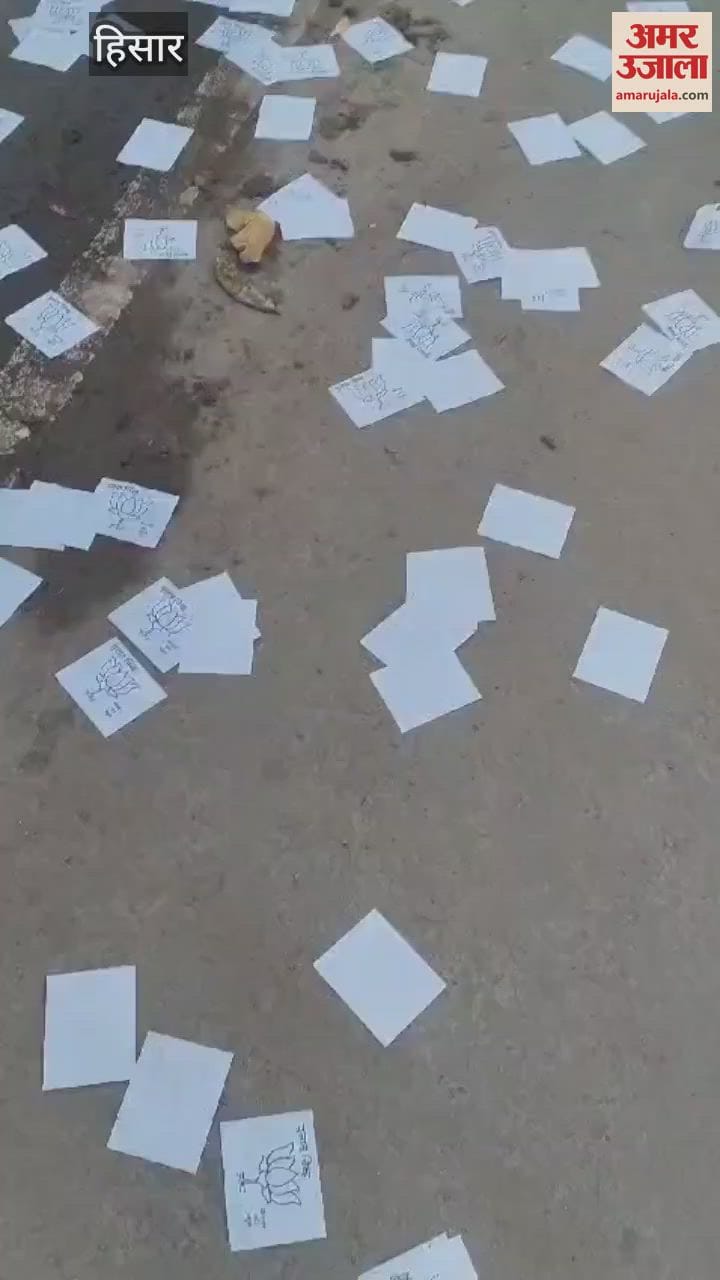Video :हिसार में यह कैसा प्रचार, कमल के चुनाव चिन्ह से सड़कों पर फैलाया ...