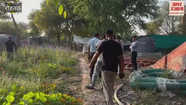 Video : Panic After Suspicious Plants Were Found In Rohtak's Supwa University, Investigation ...