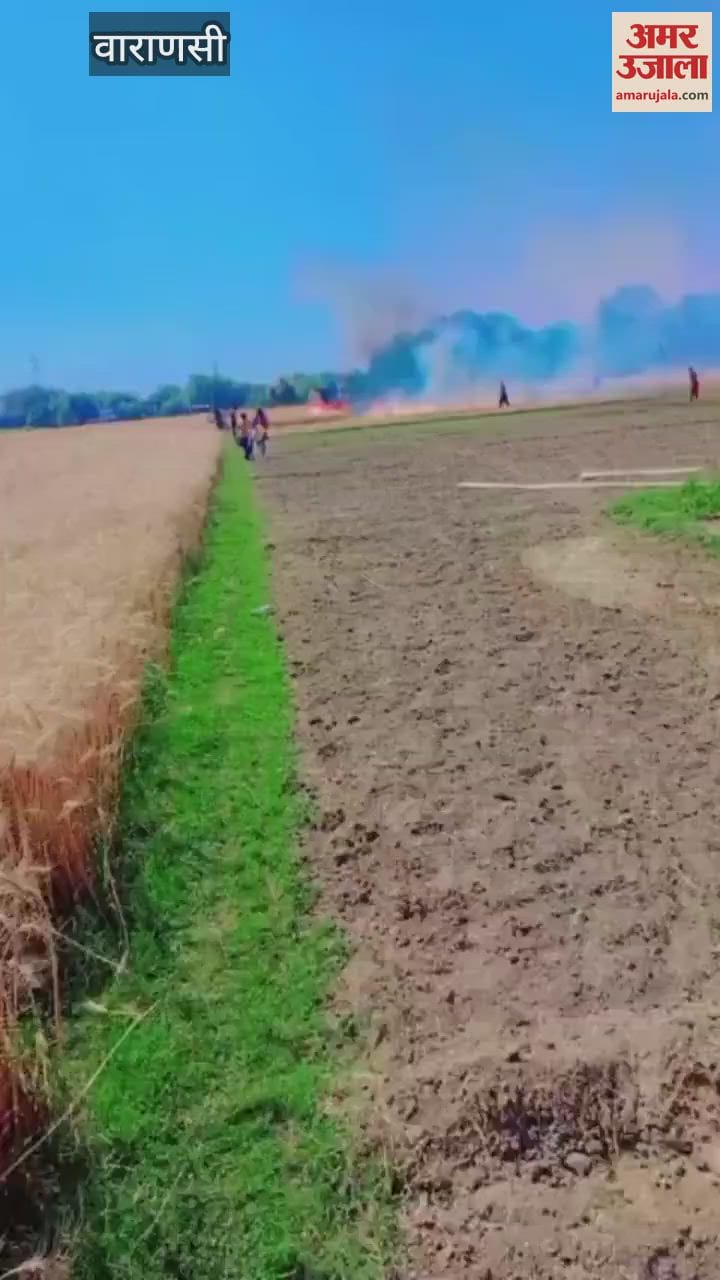Video :गेहूं की फसल में अचानक लगी आग, 10 बिस्वा फसल खाक - Video : Wheat Crop Caught Fire ...