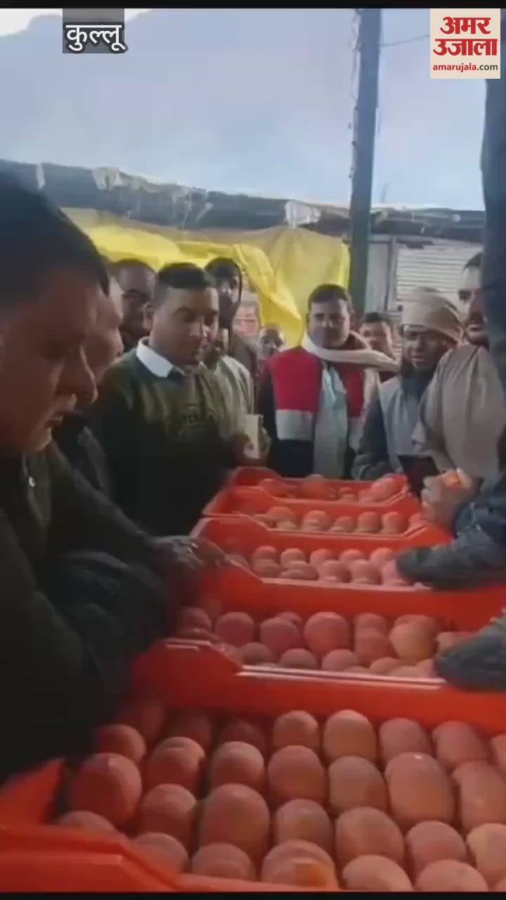 Video :भुंतर सब्जी मंडी में 125 रुपये प्रतिकिलो बिका जापानी फल - Video ...