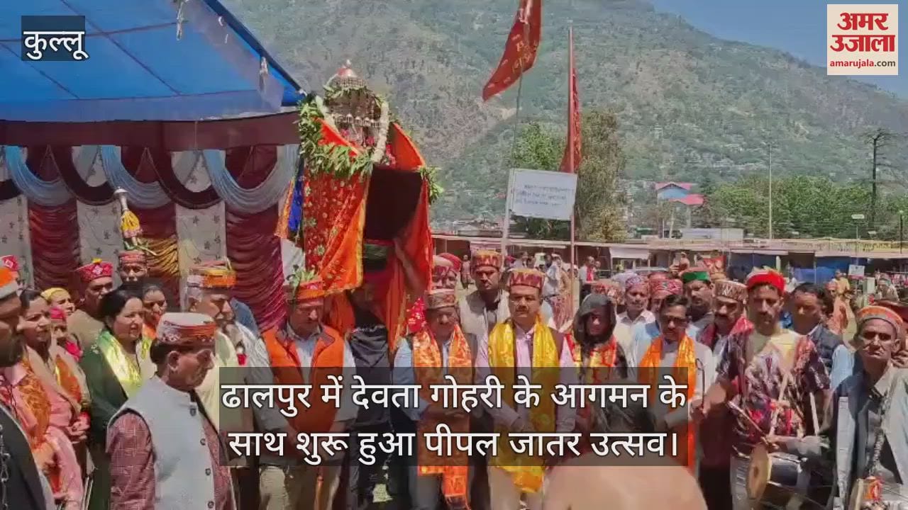 Kullu:ढालपुर में देवता गोहरी के आगमन के साथ शुरू हुआ पीपल जातर उत्सव ...