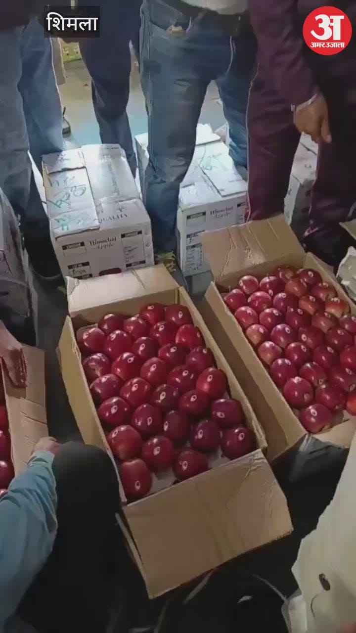 Video:भट्ठाकुफर फल मंडी में 4200 में बिकी डार्क बैरन गाला सेब की 20 ...