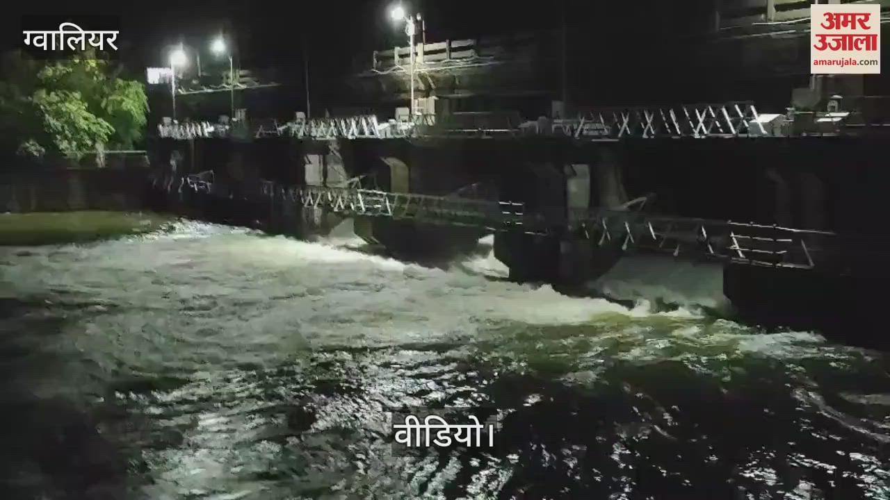 All The Rivers Of Gwalior Chambal Region Are At Danger Mark, Gates Of ...