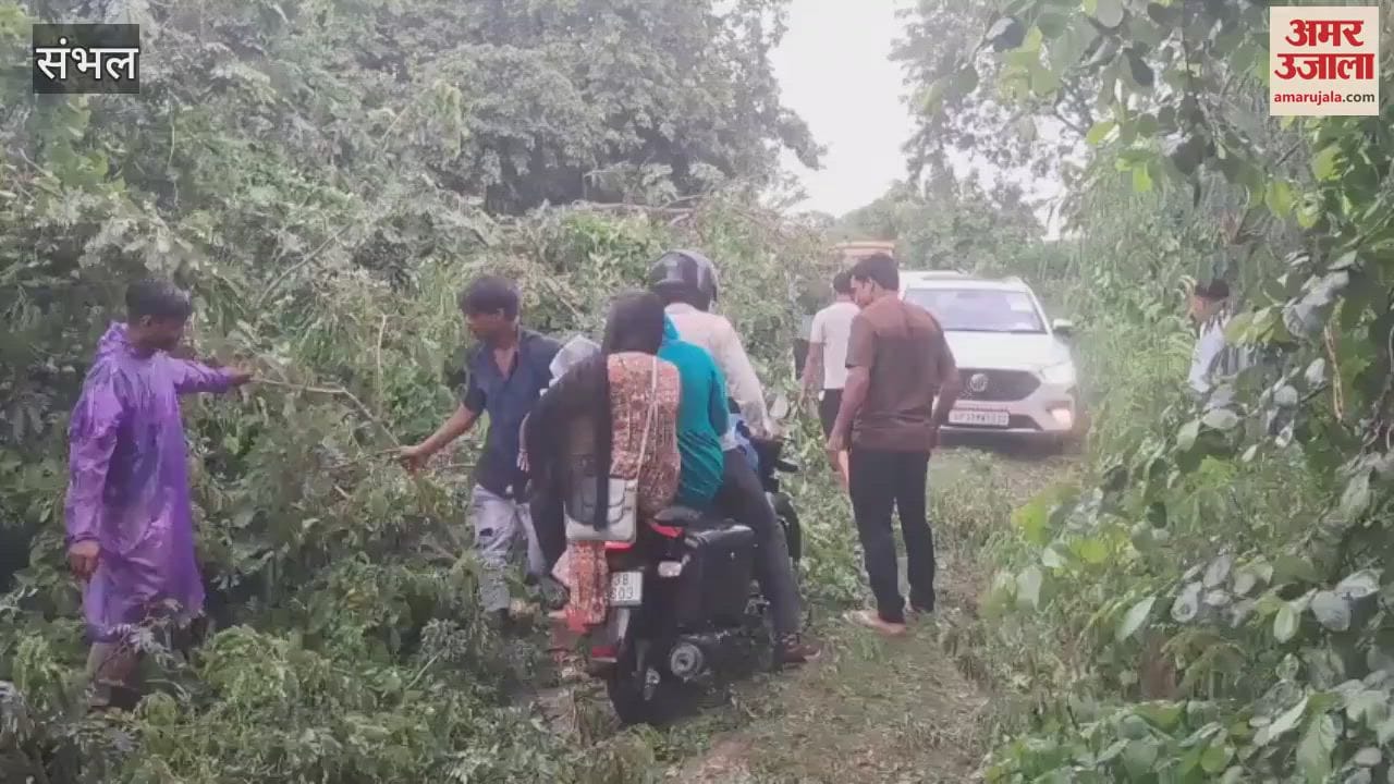 आंधी-बारिश से संभल हाइवे पर गिरे पेड़, जाम में फंसे वाहन - Trees Fell ...