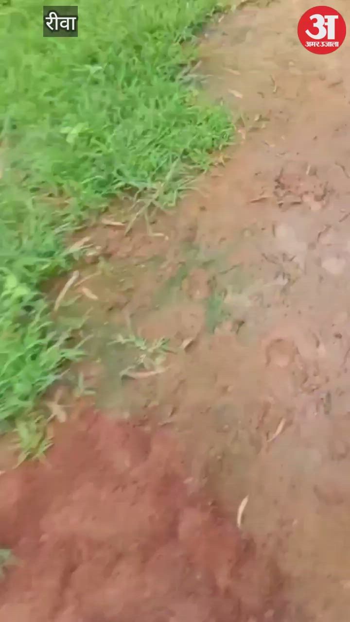 Attack With Sticks And Rods Due To Old Rivalry, Two Injured, One In ...