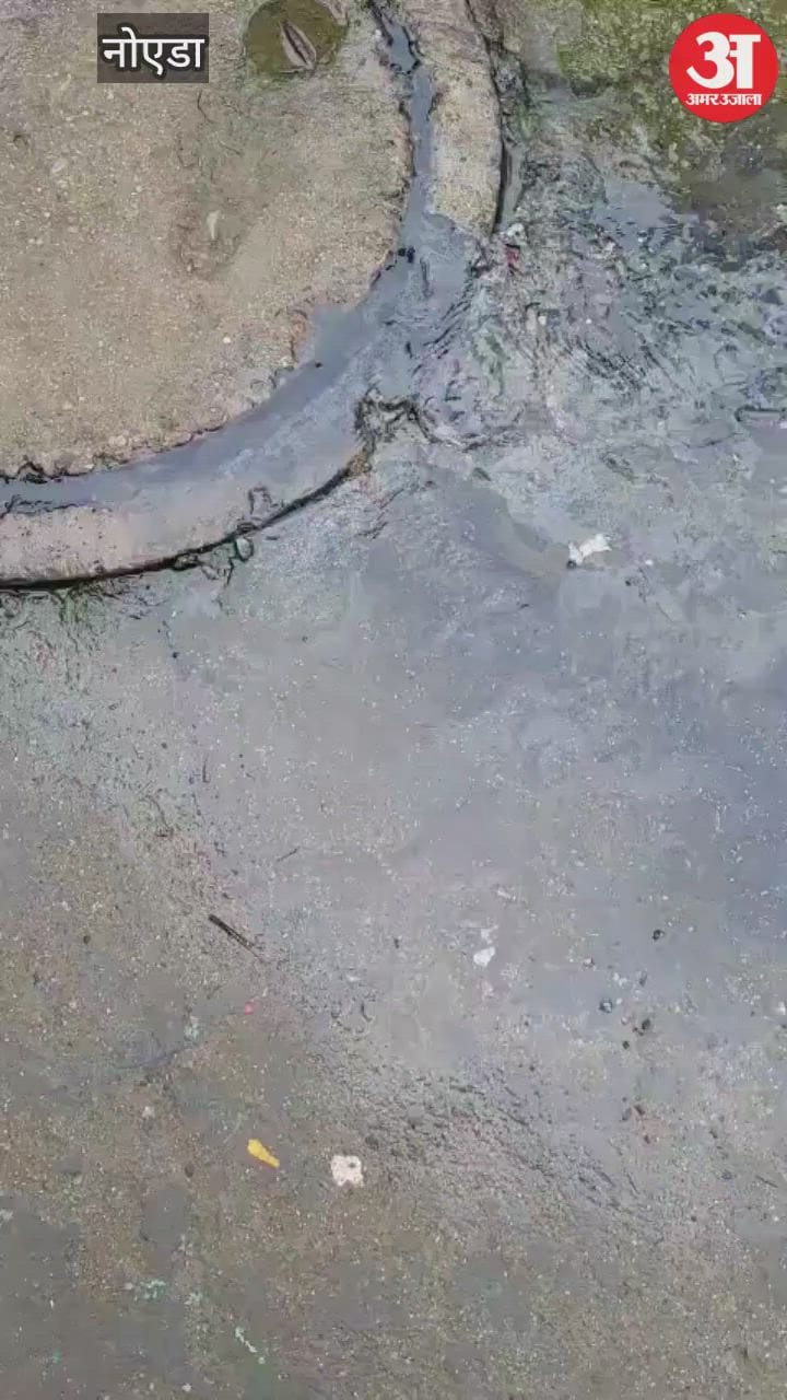 नोएडा में बदबू और मच्छरों के बीच भविष्य की पढ़ाई - Future Studies Amid ...