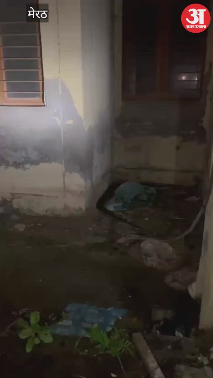 Meerut:भागीरथी एनक्लेव में विशाल अजगर पकड़ा - Meerut: Huge Python Caught In Bhagirathi Enclave ...