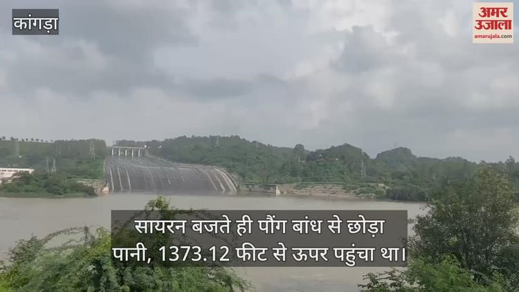 Kangra:सायरन बजते ही पौंग बांध से छोड़ा पानी, 1373.12 फीट से ऊपर पहुंचा ...