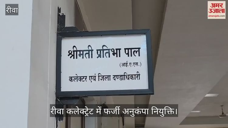 Fraud Exposed In Rewa Collectorate, Fake Cpct Marksheet Prepared To ...