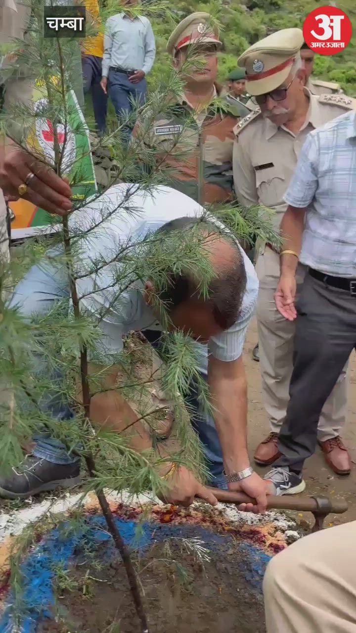 Chamba:76वें वन महोत्सव कार्यक्रम में विधायक डाॅ. जनक राज ने किया ...