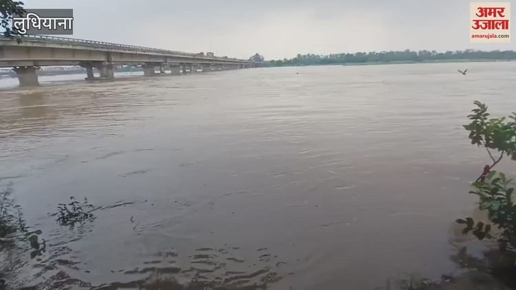 लुधियाना में सतलुज दरिया का बढ़ा जलस्तर - Water Level Of Sutlej River ...
