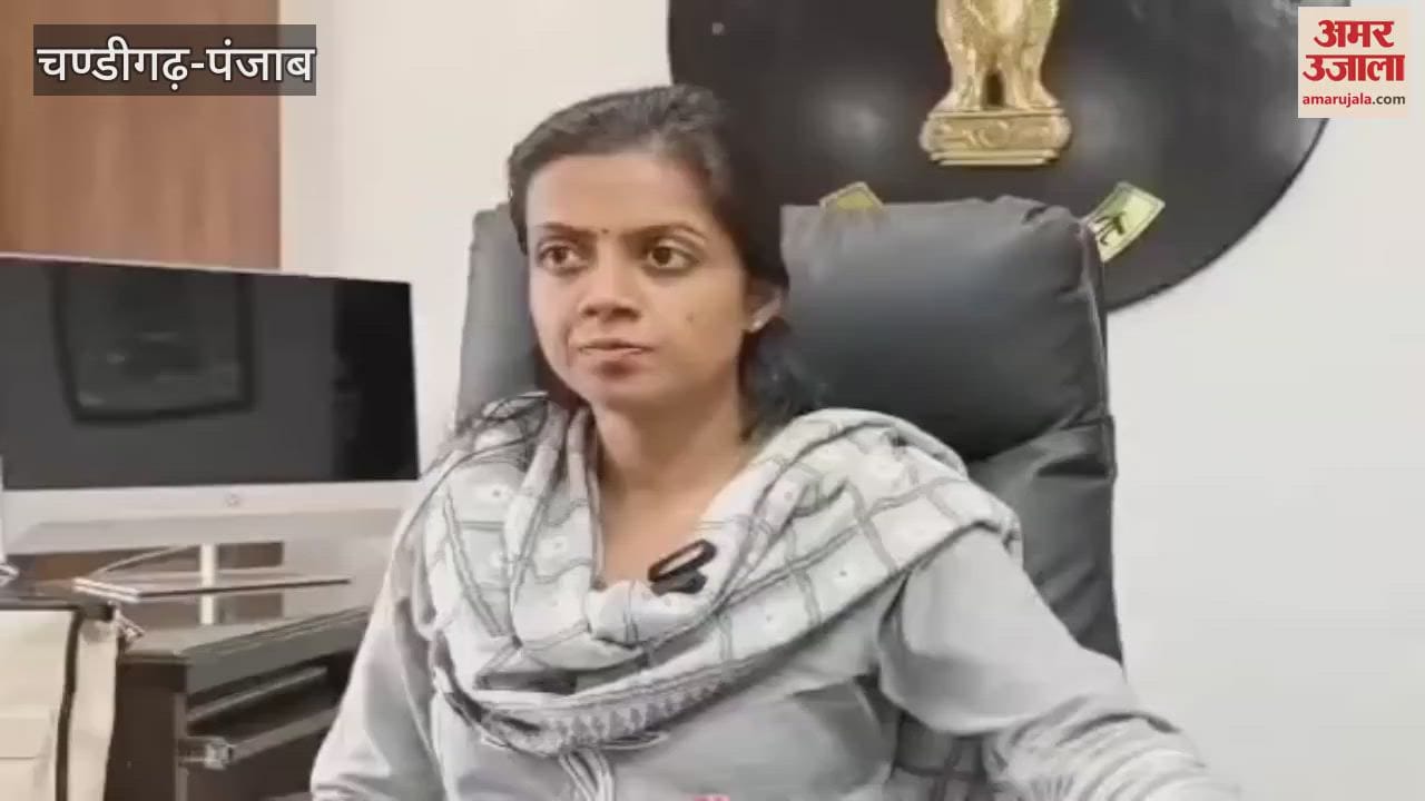 होशियारपुर की डीसी आशिका जैन ने दी जिले में बाढ़ की स्थिति की जानकारी ...