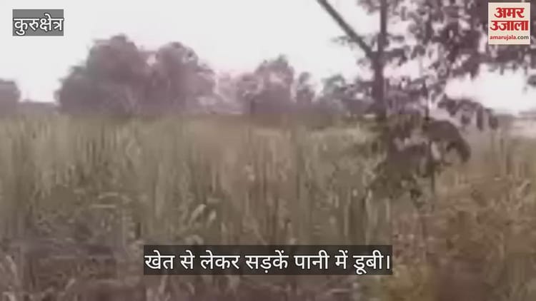 कुरुक्षेत्र:फिर पड़ी मारकंडा की मार, खेत से लेकर सड़कें पानी में डूबी ...