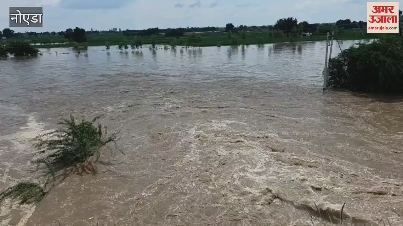 दनकौर के लतीफपुर गांव में यमुना बाढ़ का पानी भरा, लोग बेहाल; टेंट बनाकर ...