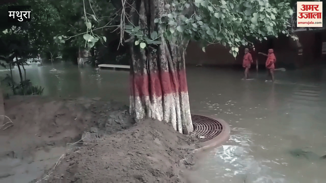 Video:कार्ष्णि रमण रेती आश्रम में पहुंचा यमुना का पानी - Yamuna Water ...
