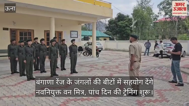 Newly Appointed Forest Friends Will Assist In The Beats Of The Forests ...