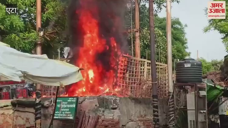 Video:बंदरों की लड़ाई से हुआ शार्ट सर्किट, जल गया ट्रांसफार्मर...बत्ती ...