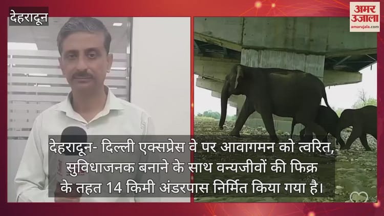 Delhi-dehradun Expressway: Deer And Elephant Passing Through The ...