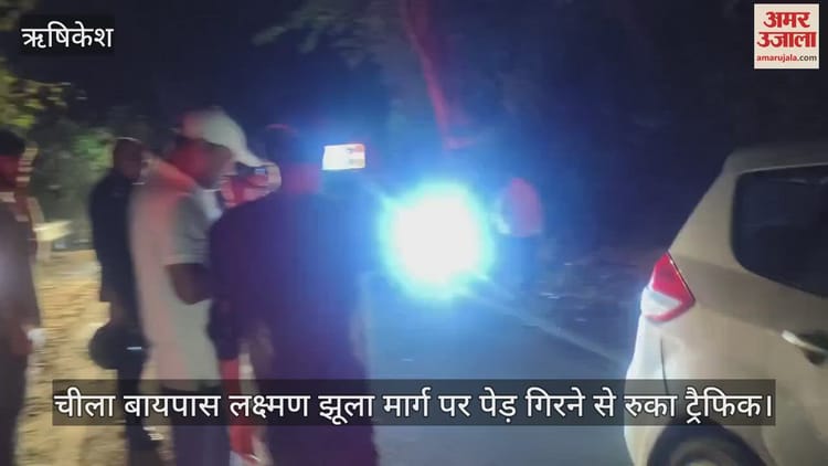 Rishikesh:चीला बायपास लक्ष्मण झूला मार्ग पर पेड़ गिरने से रुका ट्रैफिक ...