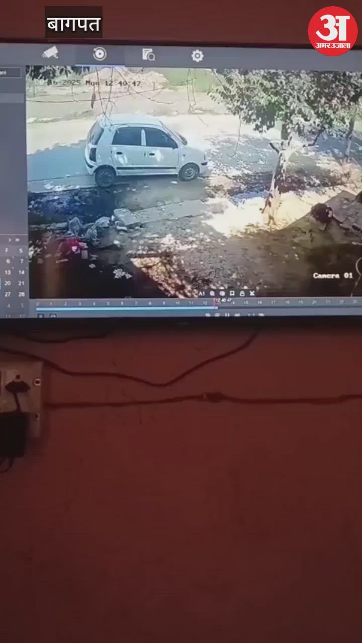 Baghpat:रटौल के पांची में कार सवारों ने किये बकरे चोरी, सीसीटीवी में ...