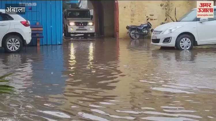 First Rain In Ambala Exposed The Truth; Barara Was Submerged, The Maize ...