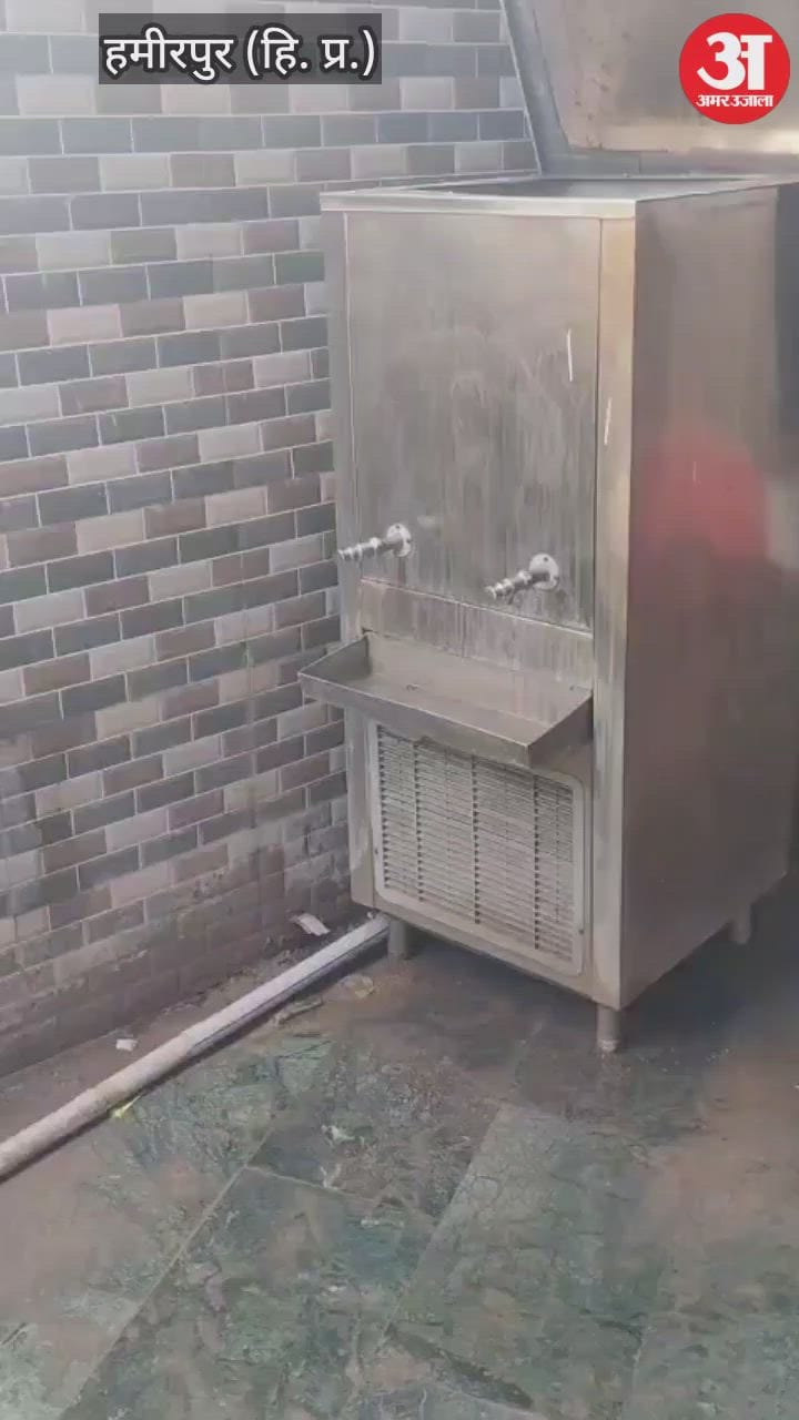 Hamirpur:अवाहदेवी मंदिर में पानी के कूलर में मिलीं तीन छिपकलियां, कीड़े ...
