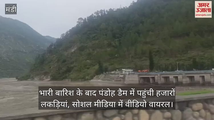 Mandi:भारी बारिश के बाद पंडोह डैम में पहुंची हजारों लकड़ियां, सोशल ...