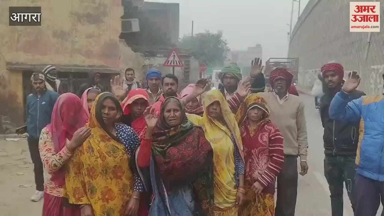 Video:करंट से भैंस की मौत, बाल-बाल बचा पशुपालक - Buffalo Dies Due To ...