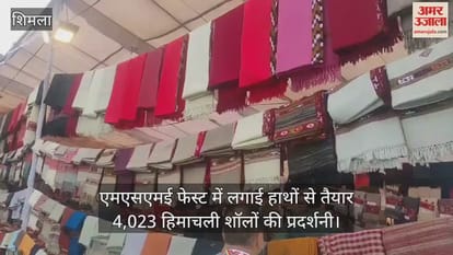 Video:एमएसएमई फेस्ट में लगाई हाथों से तैयार 4,023 हिमाचली शॉलों की ...