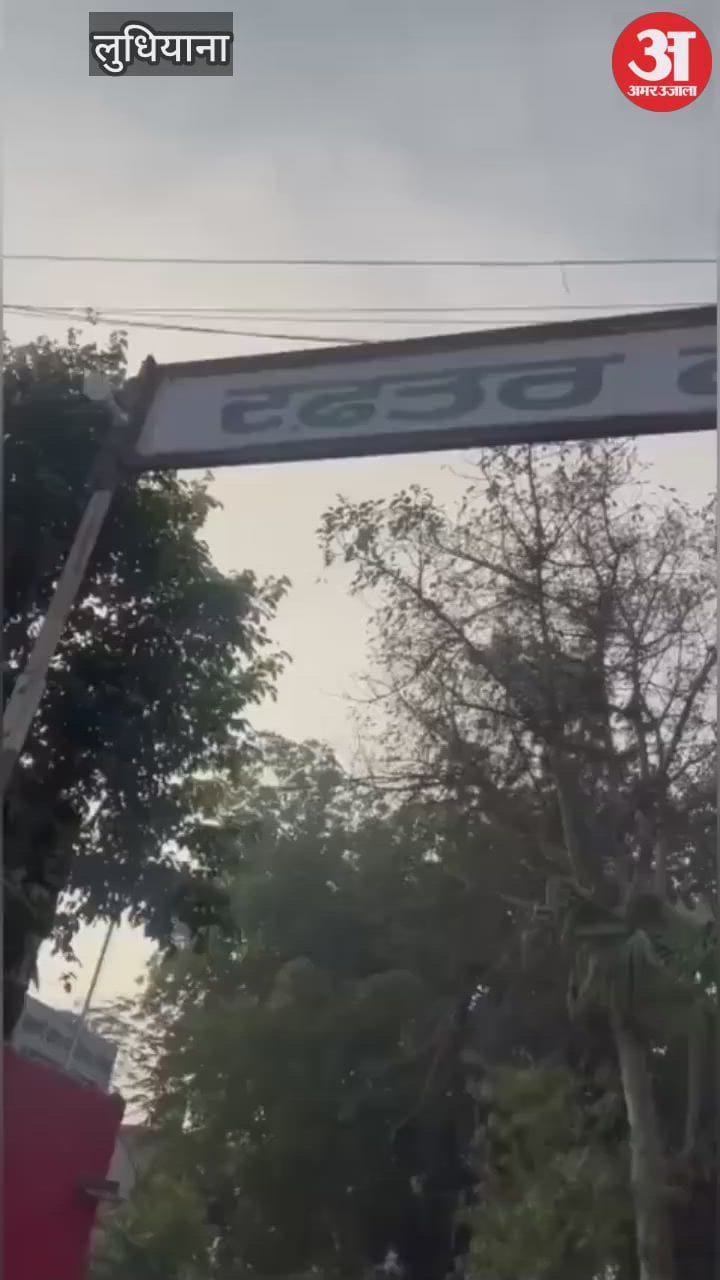 हाईकोर्ट के प्रतिबंध के बावजूद जगरांव नगर काउंसिल में काटे गए पेड़ ...