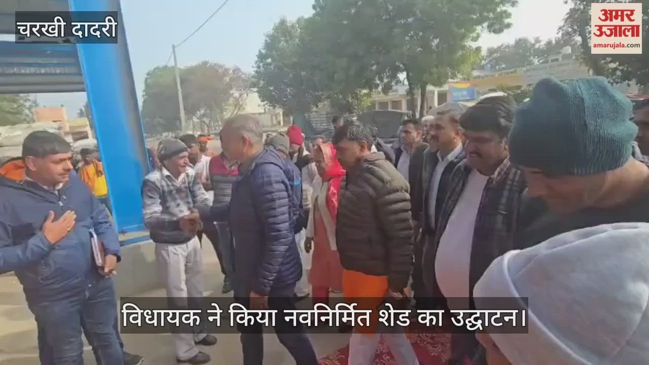 चरखी दादरी:नई अनाज मंडी में विधायक ने किया नवनिर्मित शेड का उद्घाटन, 95 ...