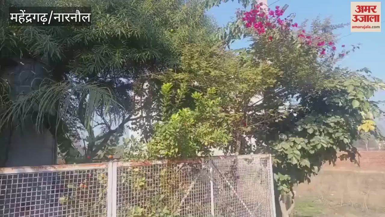 महेंद्रगढ़:शौक ने गुलजार की 120 पौधों की बगिया, जीवन में उमंग ला रही ...