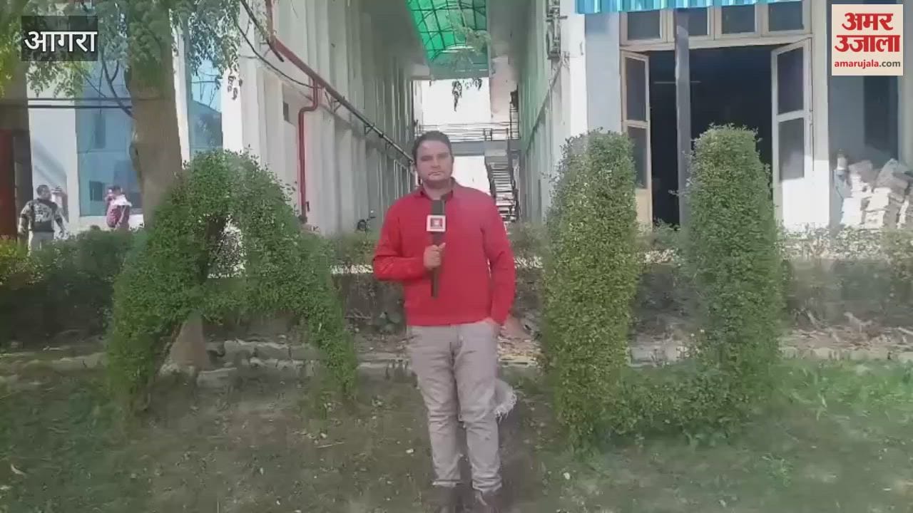 Video:देररात तक देखते हैं मोबाइल...आज ही बदल दें ये आदत, चिकित्सकों ने ...