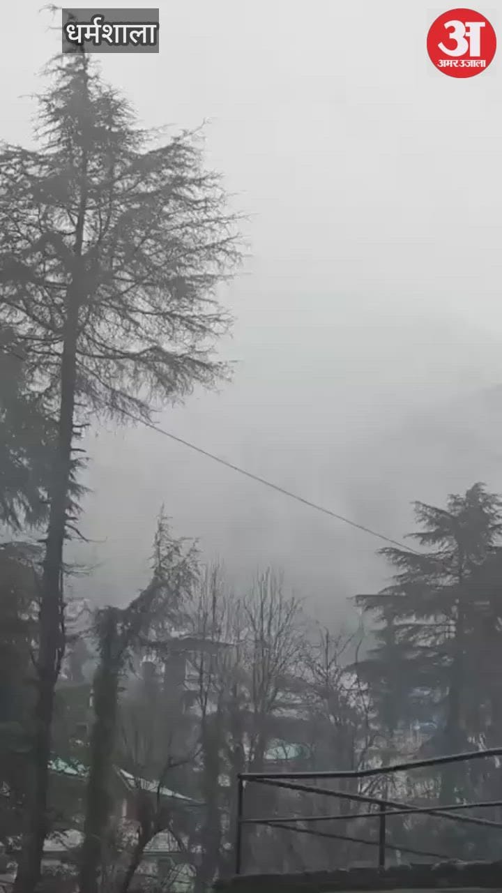 Kangra:त्रियूंड में बर्फबारी, धर्मशाला और मैक्लोडगंज में बारिश ...