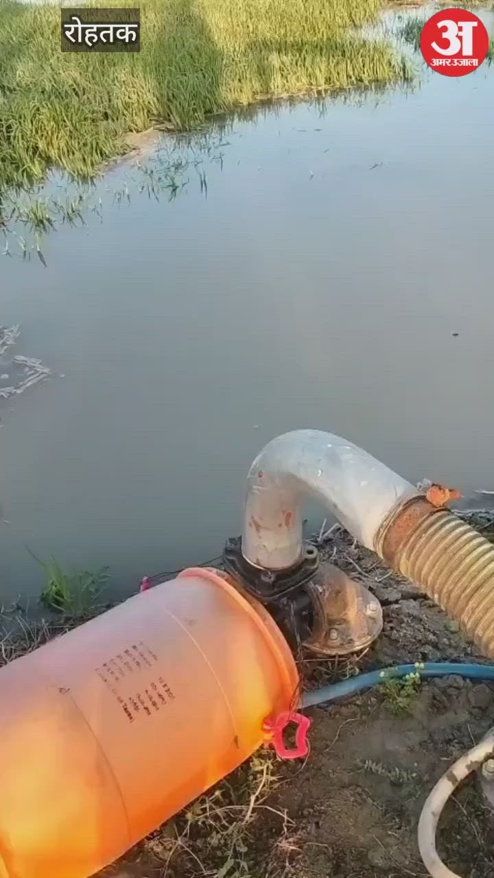 रोहतक के महम में मुरादपुर टेकना में नहर टूटने से 60 एकड़ में गेहूं की ...