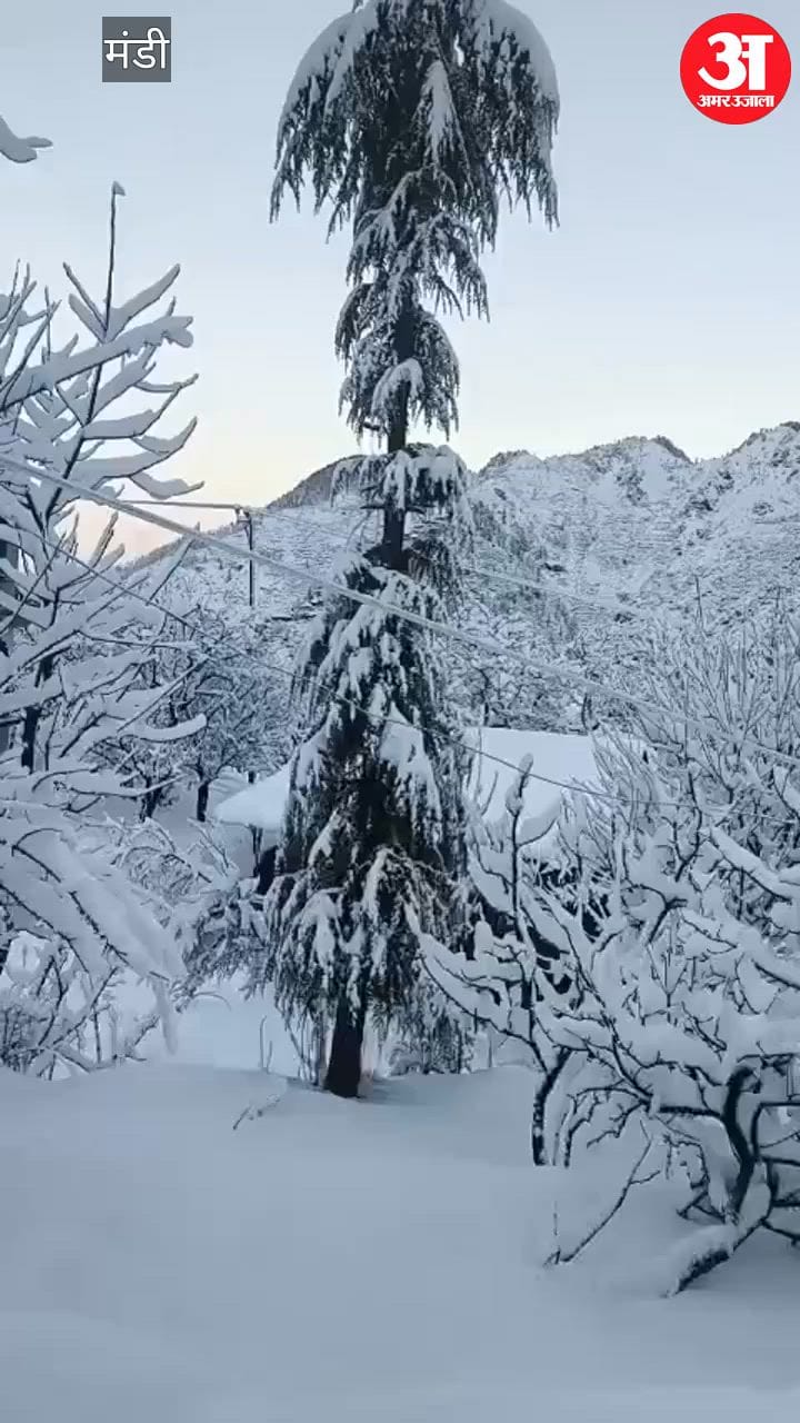 Video:बर्फबारी से लकदक हुआ सराज, चैल-जंजैहली मुख्य सड़क कांढ़ा में बंद ...