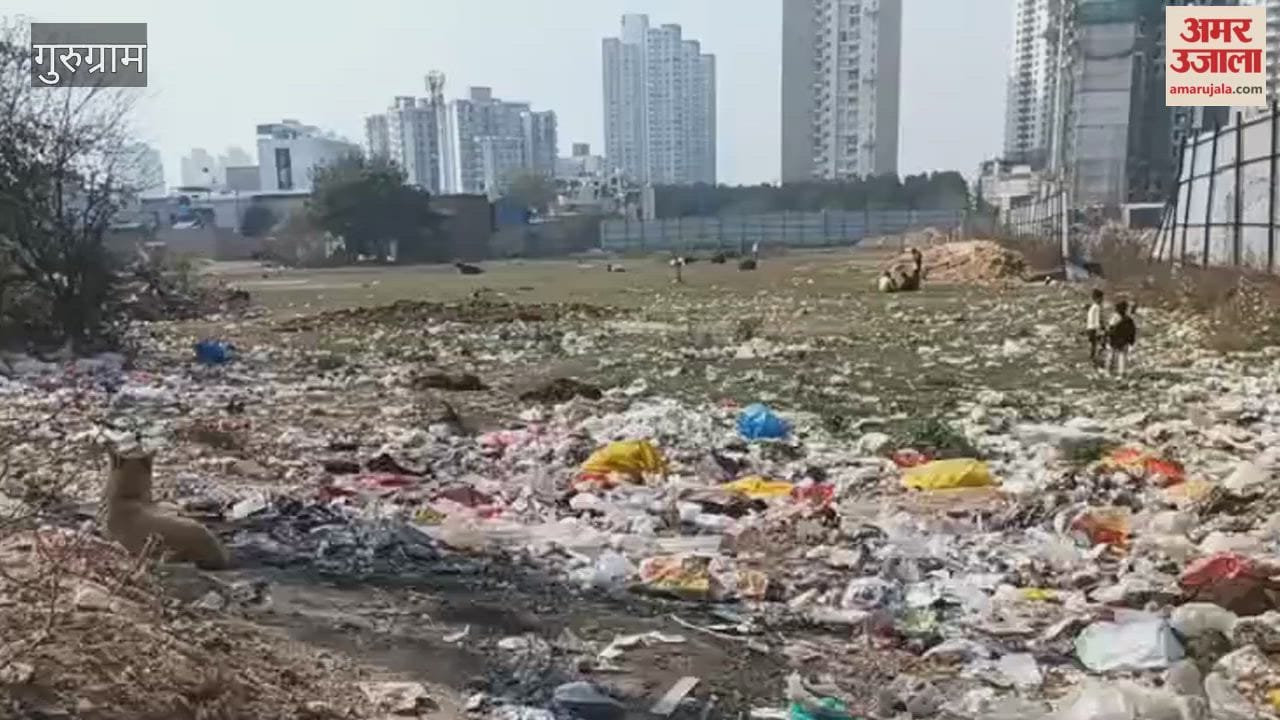 Gurugram:सूरत नगर फेज-दो की मुख्य मार्ग पर कूड़े के ढेर से फैली गंदगी ...