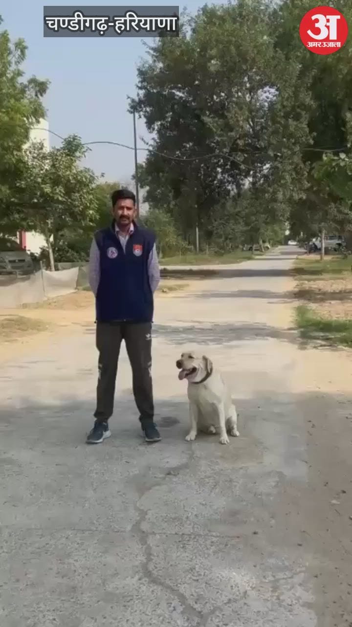 जैक और रैम्बो, स्वान टीम के दो सितारे जिन्होंने बदल दिया ऑपरेशन का रुख ...