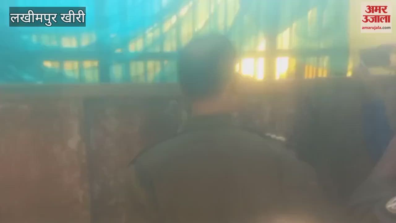 Lakhimpur Kheri:वन विभाग की टीम ने ट्रेंकुलाइज कर बाघ को पकड़ा, तीन गांवों में फैला रखी थी दहशत ...