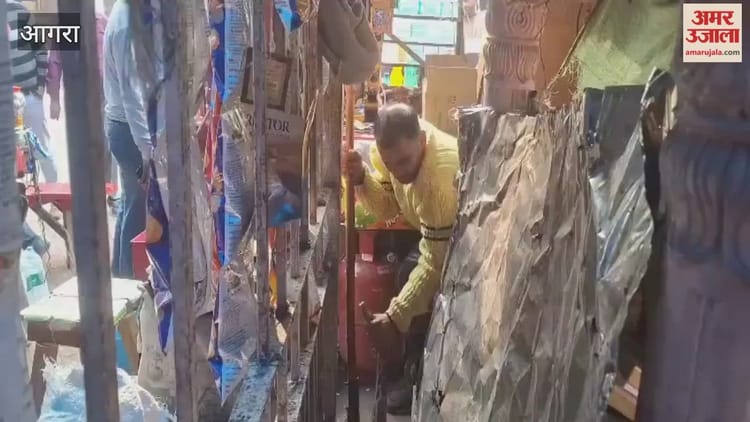 Video:ताजमहल के पश्चिमी गेट पर अचानक विशाल अजगर, पर्यटकों के छूटे पसीने ...