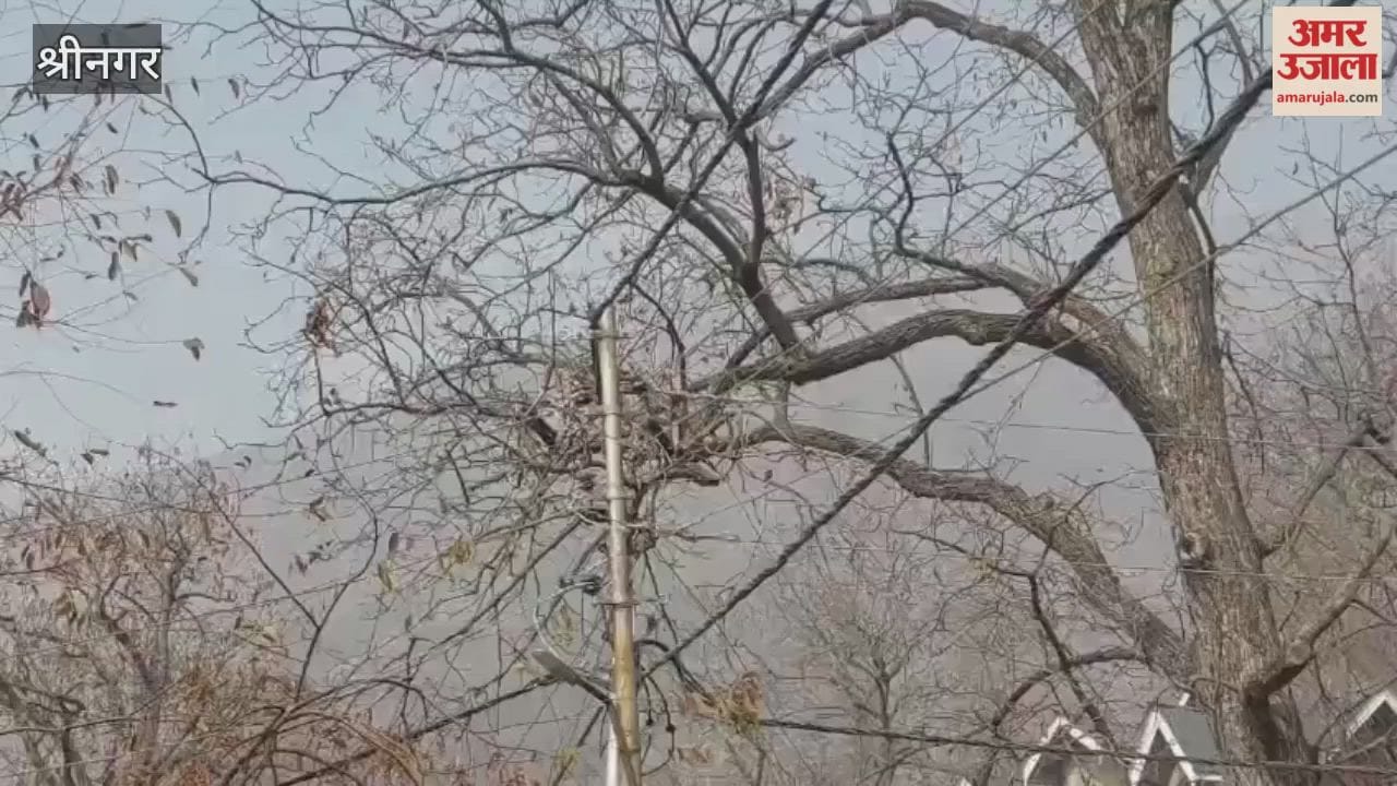 नागबल गांदरबल में स्मार्ट मीटर का विरोध, बिजली कटी-लोग अंधेरे में रहने ...