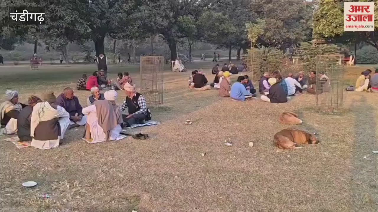 64 वर्ष की उम्र में अनोखा कारनामा:गिनीज बुक ऑफ वर्ल्ड रिकॉर्ड्स में ...